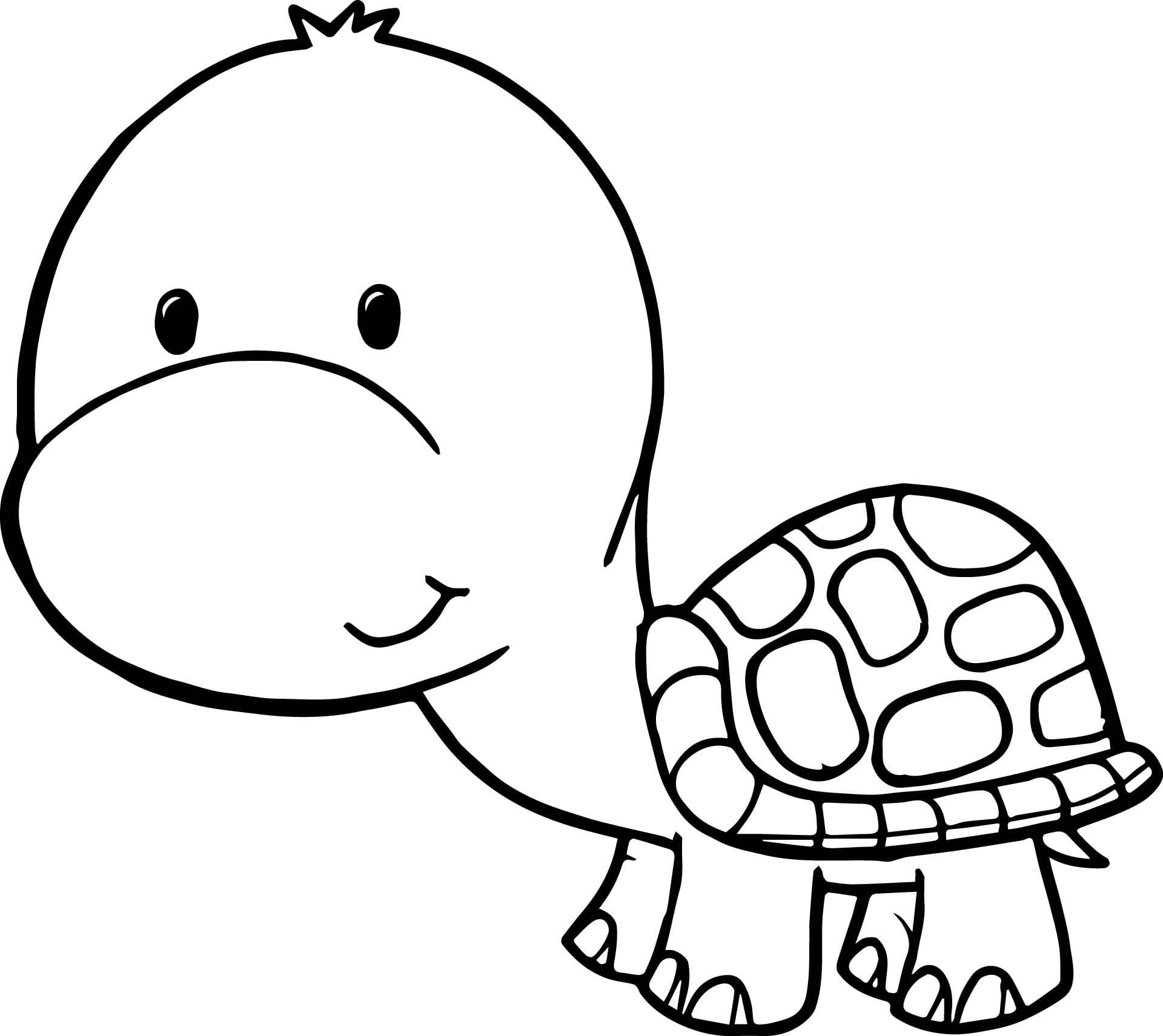Dibujos de Tortugas para Colorear