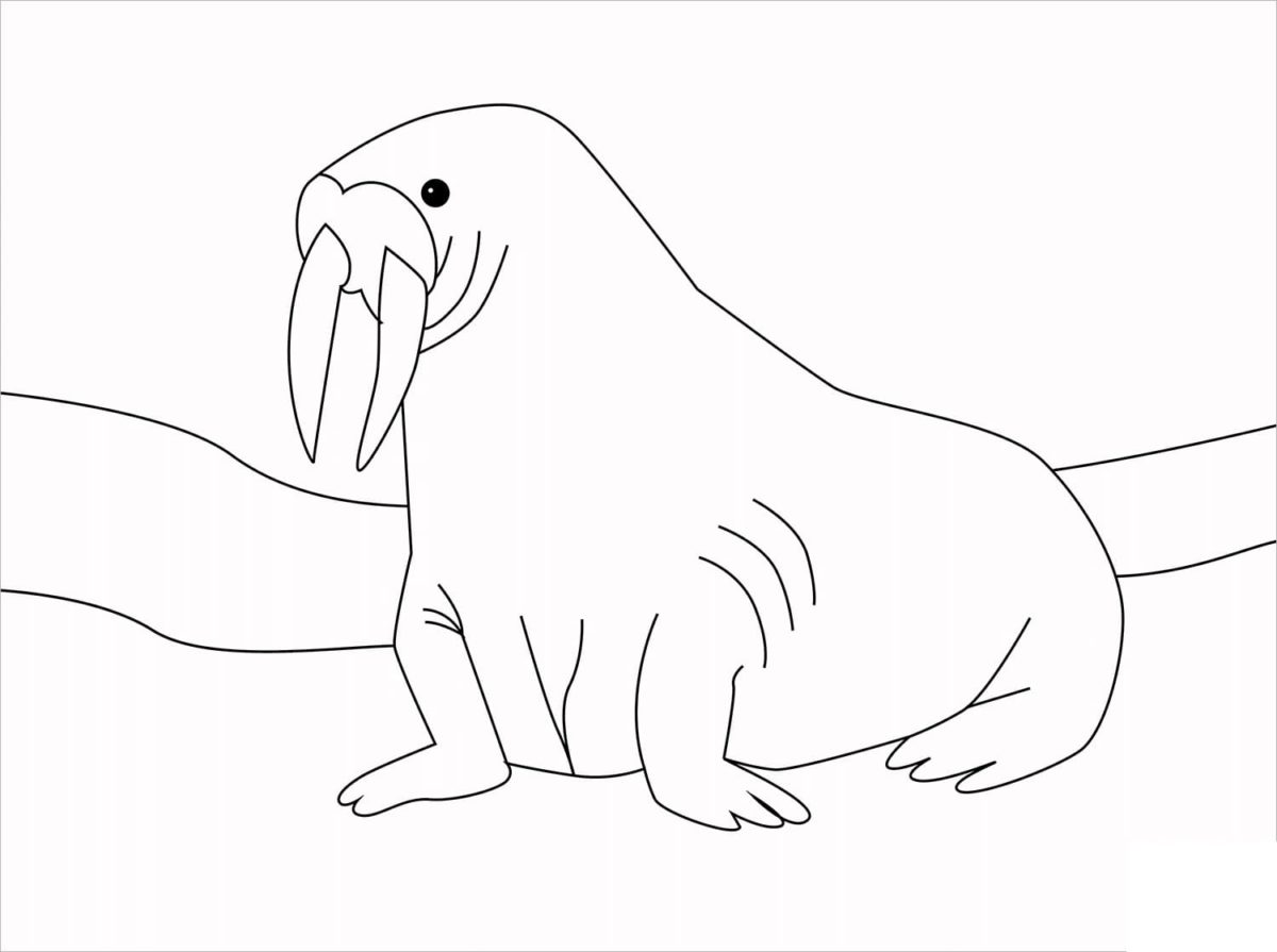 Coloriage Morse à imprimer