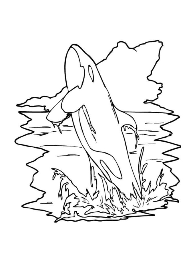 Dibujos de Ballenas para colorear - 100 imágenes para imprimir gratis