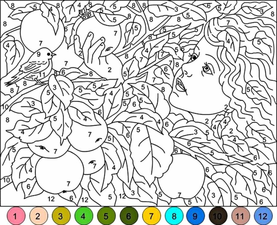 Color By Number | 100 Best Worksheets Coloring Pages Free Printable