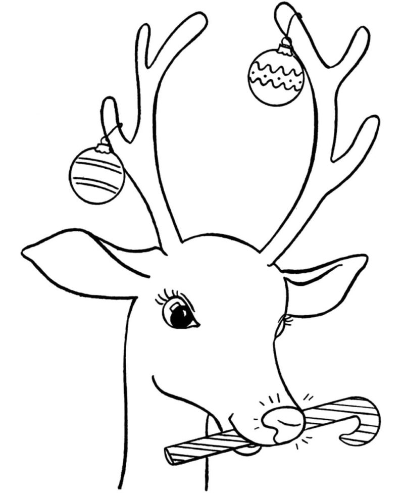 Reindeer Coloring Pages | Free Printables