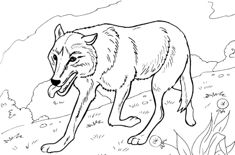 Coloriage Animaux Sauvages - 70 images à imprimer gratuitement