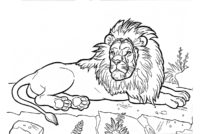 Coloriage Animaux Sauvages - 70 images à imprimer gratuitement