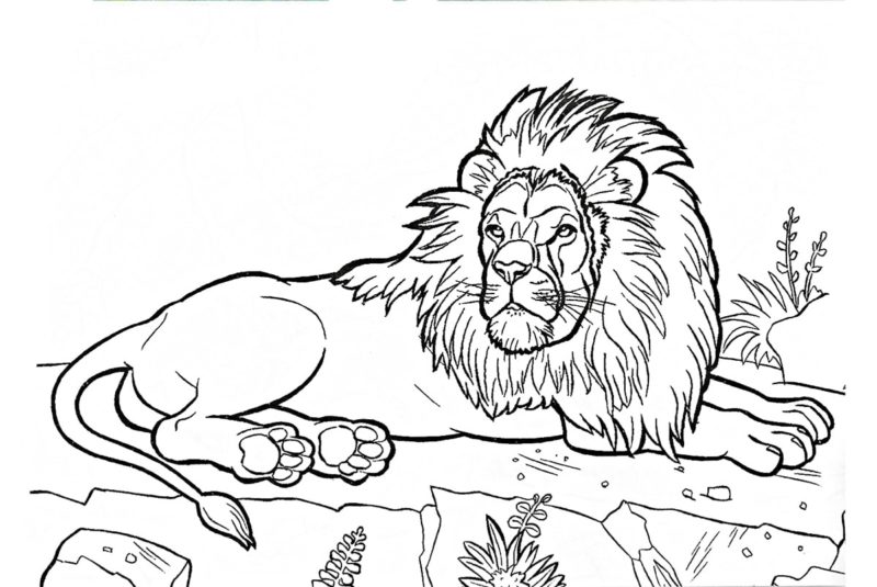 Coloriage Animaux Sauvages - 70 images à imprimer gratuitement