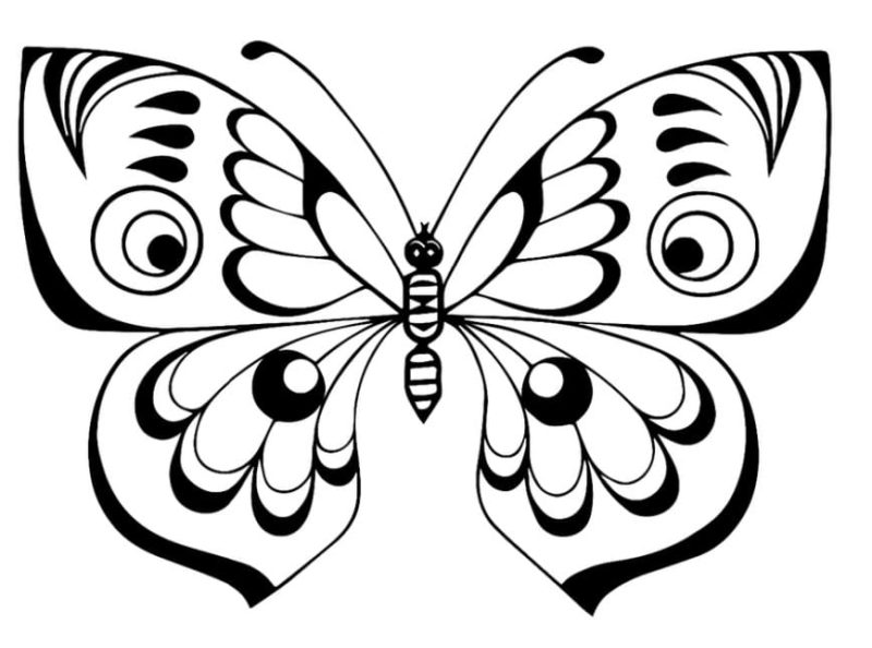 Coloriage Papillon à imprimer