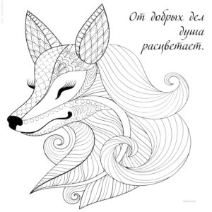 Раскраски Лиса | Распечатать бесплатно