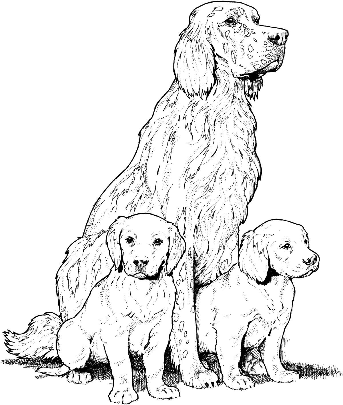 Coloriage Chien à imprimer